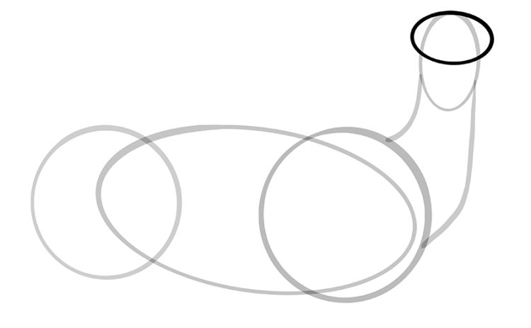 How to Draw an Impala - The Best Step-by-Step Impala Drawing Tutorial