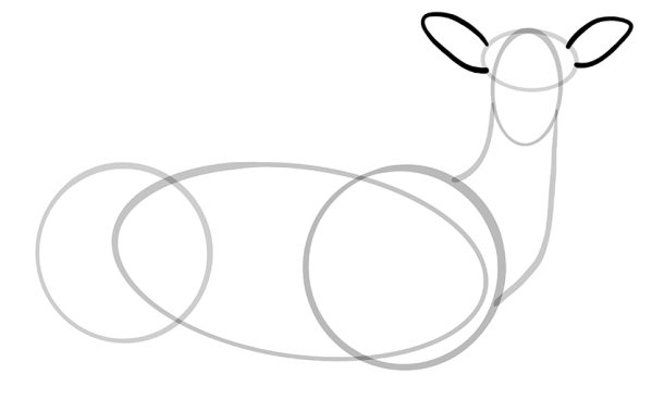 How to Draw an Impala - The Best Step-by-Step Impala Drawing Tutorial