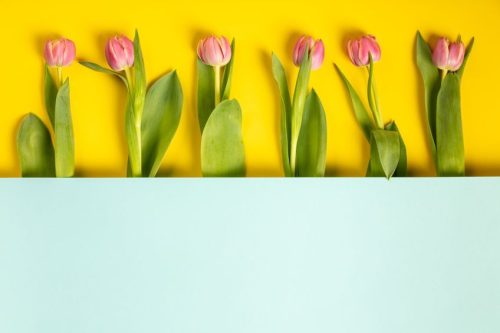 Color Combinations - Exploring the Best Color Combinations for Artists