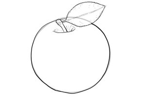 How to Draw an Apple - Our Fun Fruit Illustration Tutorial