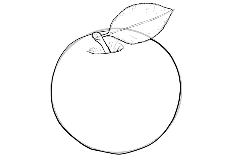 How to Draw an Apple - Our Fun Fruit Illustration Tutorial