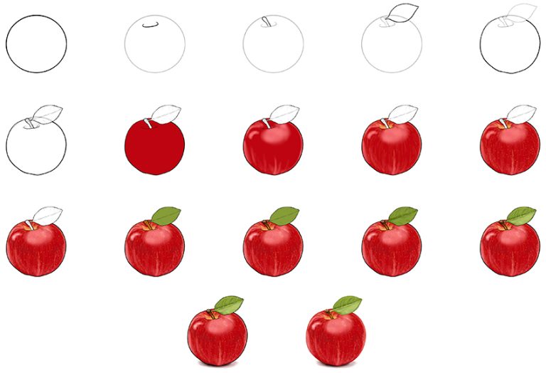 How to Draw an Apple - Our Fun Fruit Illustration Tutorial