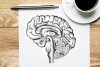 How to Draw a Brain - Learn to Create a Realistic Brain Drawing