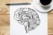 How to Draw a Brain - Learn to Create a Realistic Brain Drawing