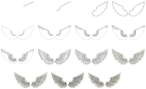How to Draw Wings - Creating an Easy and Realistic Wings Sketch
