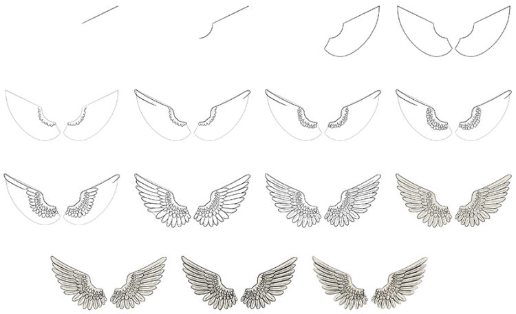 How to Draw Wings - Creating an Easy and Realistic Wings Sketch