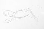 Easy Doodles to Draw - A Fun Doodle Draw-Along Guide