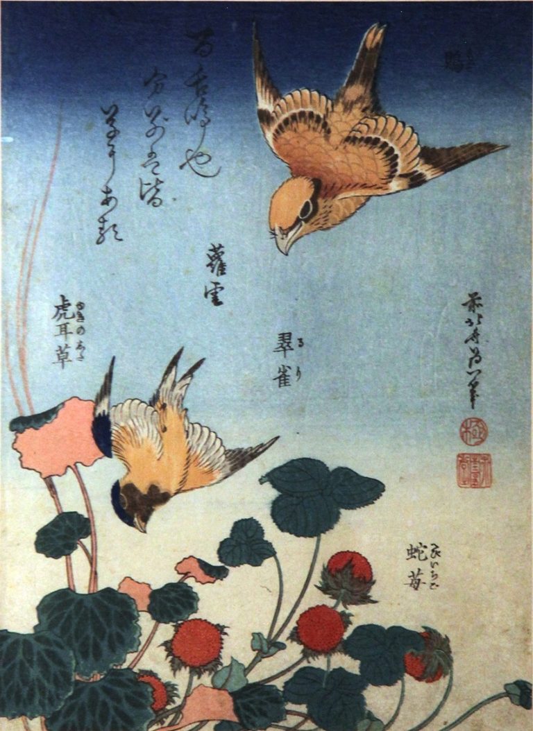 Katsushika Hokusai - The Life and Works of This Famous Japanese Artist