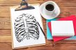 How to Draw a Rib Cage - An Easy Rib Cage Drawing