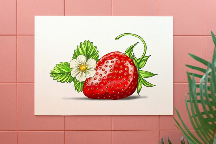 Strawberry Drawing - A Step-by-Step Guide! - Art in Context