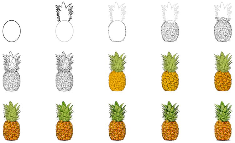 How to Draw a Pineapple - Detailed Step-by-Step Tutorial