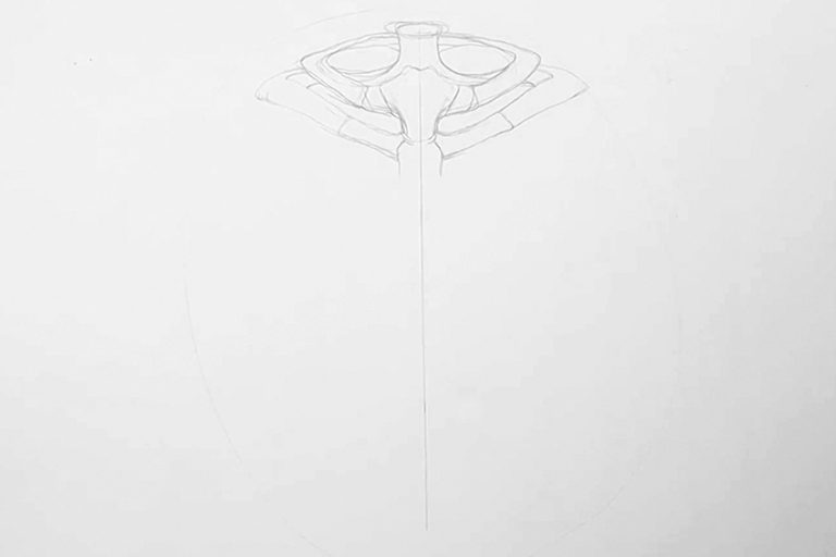 How to Draw a Rib Cage - An Easy Rib Cage Drawing
