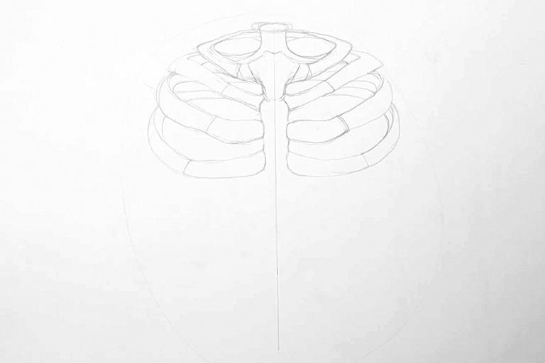 How to Draw a Rib Cage - An Easy Rib Cage Drawing