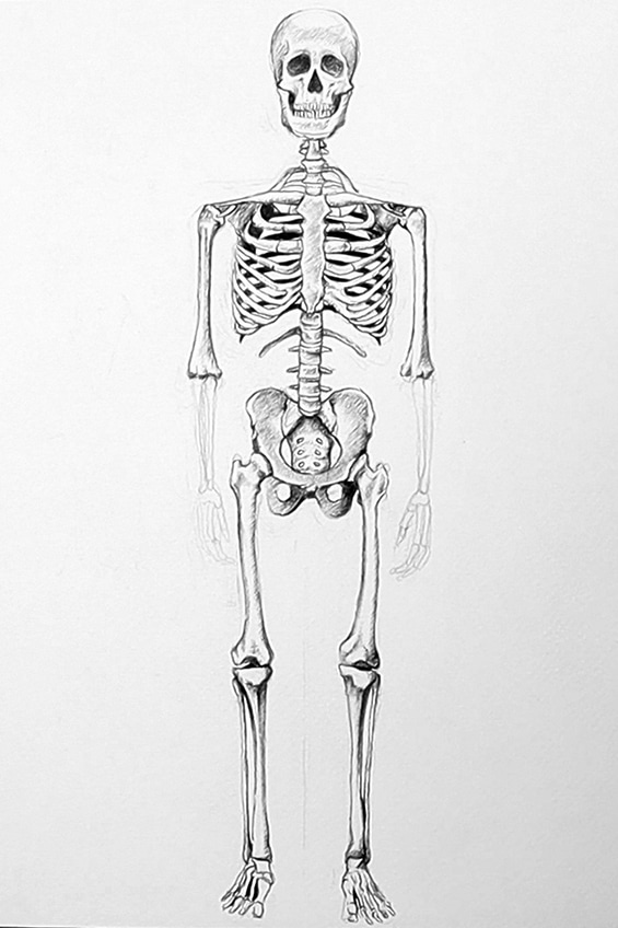 Top 74 Skeleton Easy Drawing Best Nhadathoangha vn Top 74 Skeleton Easy Drawing Best Nhadathoangha vn