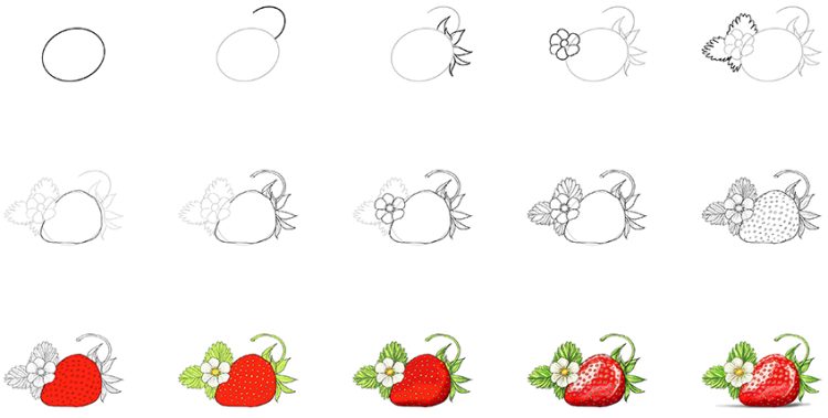 How to Draw a Strawberry - A Fun Strawberry Drawing Tutorial
