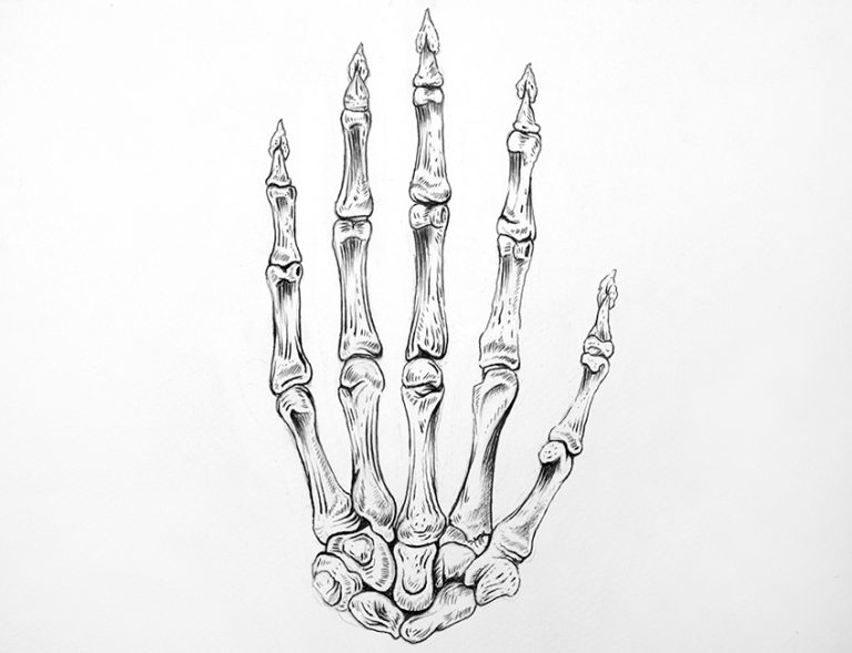How to Draw a Skeleton Hand - Creepy Bone Hand Drawing Steps