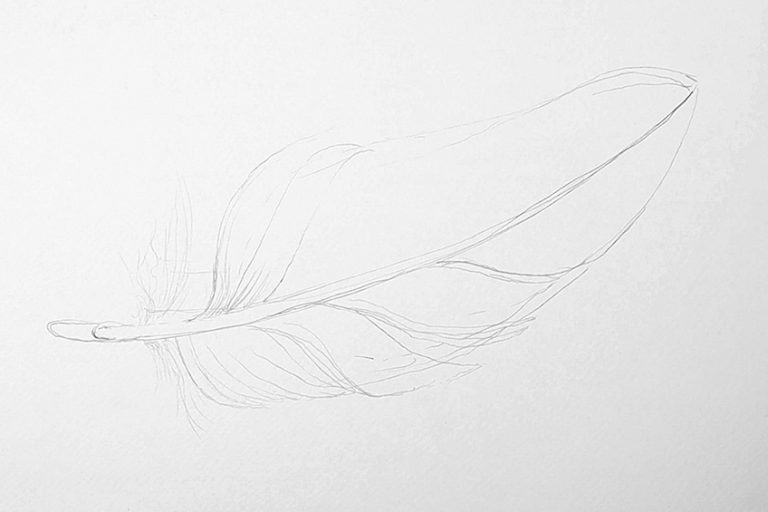 How to Draw a Feather - Steps to Creating an Easy Feather Drawing