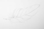 How to Draw a Feather - Steps to Creating an Easy Feather Drawing
