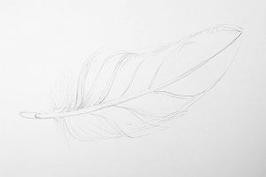 How to Draw a Feather - Steps to Creating an Easy Feather Drawing
