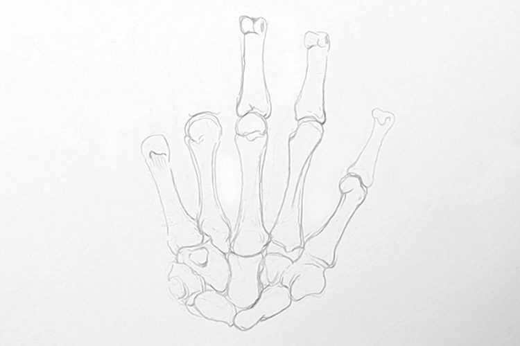 How to Draw a Skeleton Hand - Creepy Bone Hand Drawing Steps