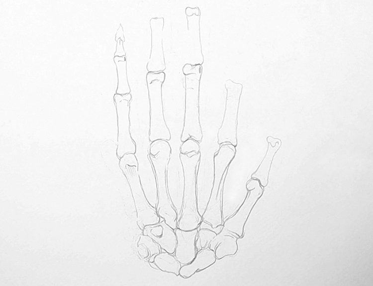 How to Draw a Skeleton Hand - Creepy Bone Hand Drawing Steps