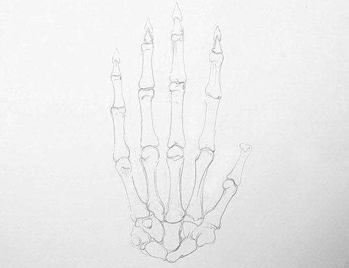 How to Draw a Skeleton Hand - Creepy Bone Hand Drawing Steps