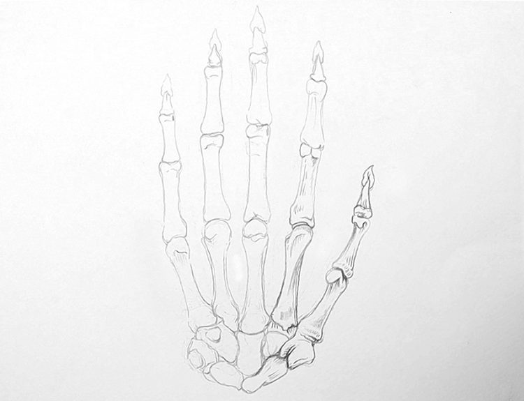 How to Draw a Skeleton Hand - Creepy Bone Hand Drawing Steps