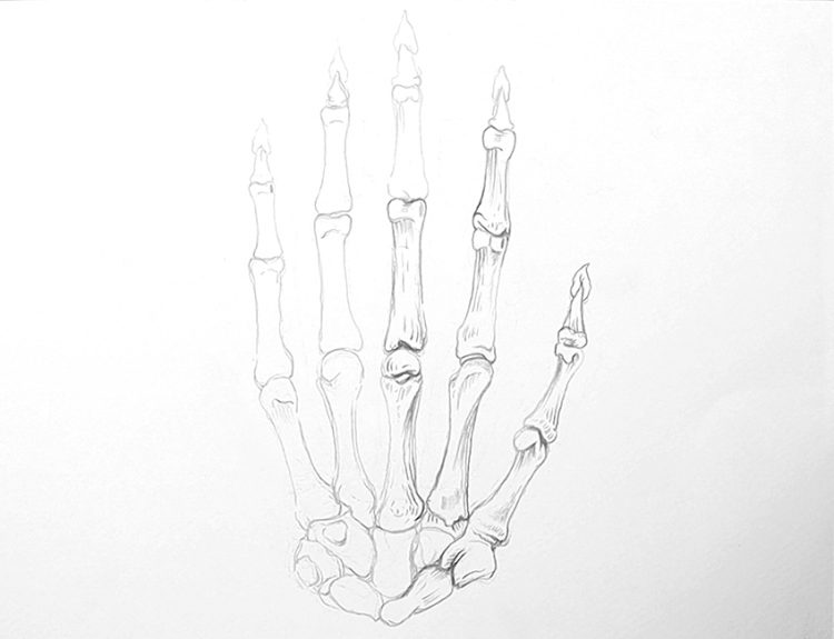 How to Draw a Skeleton Hand - Creepy Bone Hand Drawing Steps