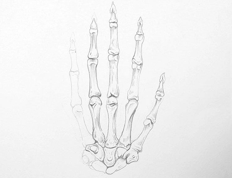 How to Draw a Skeleton Hand - Creepy Bone Hand Drawing Steps