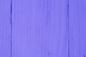 Periwinkle Color - Shades of this Soft Blue-Purple Color