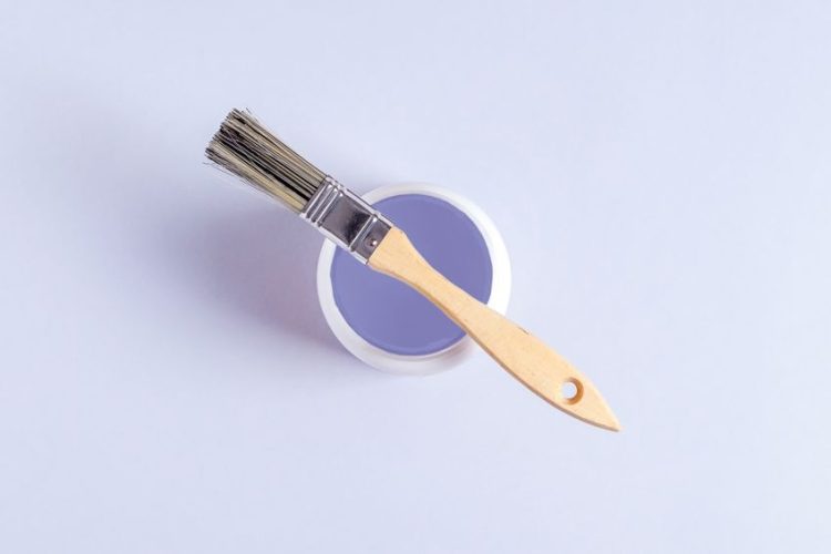 Periwinkle Color - Shades of this Soft Blue-Purple Color