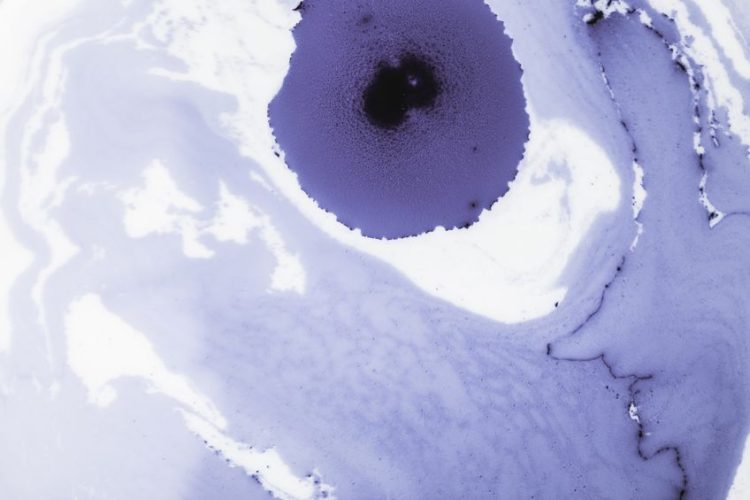 Periwinkle Color - All Shades, Color Meaning and Guide