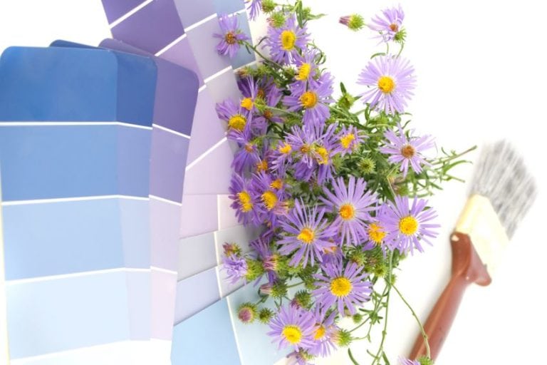 Periwinkle Color - Shades of this Soft Blue-Purple Color