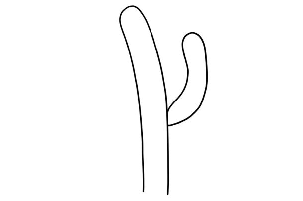 How to Draw a Cactus - A Step-by-Step Realistic Cactus Drawing