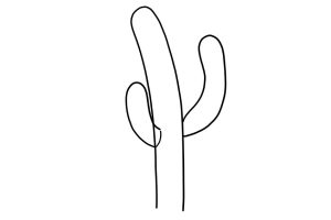 How to Draw a Cactus - A Step-by-Step Realistic Cactus Drawing
