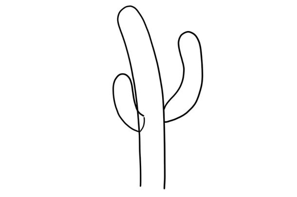 How to Draw a Cactus - A Step-by-Step Realistic Cactus Drawing