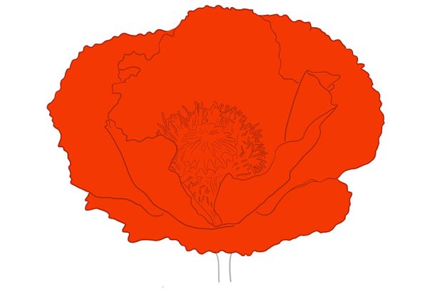 How to Draw a Poppy Flower - A Step-by-Step Tutorial