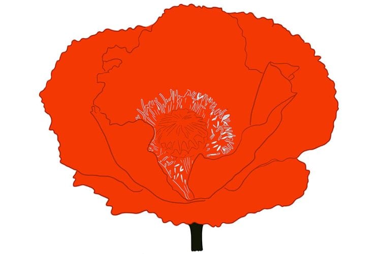 How to Draw a Poppy Flower - A Step-by-Step Tutorial