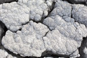 Shades of Gray Color - Constructing and Using a Gray Color Palette