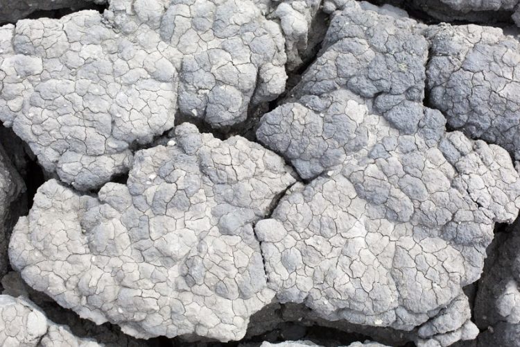 Shades of Gray Color - Constructing and Using a Gray Color Palette