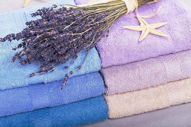 Lavender Color - Understanding All the Different Shades of Lavender