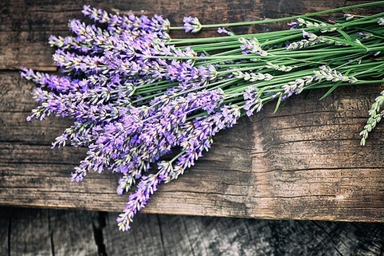 Lavender Color - All Shades, Color Meaning and How to Use it