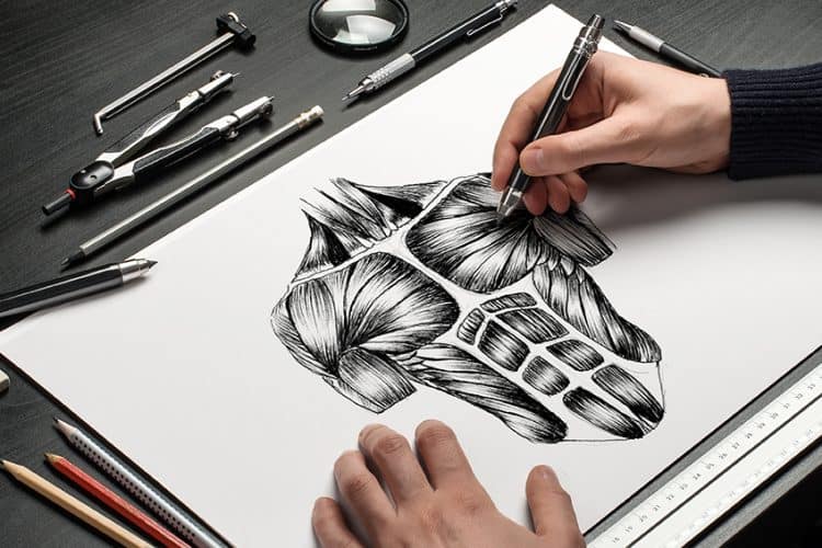 How to Draw Muscles - Learn How to Create Your Own Muscle Sketch