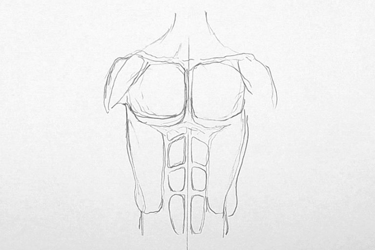 How to Draw Muscles - Learn How to Create Your Own Muscle Sketch