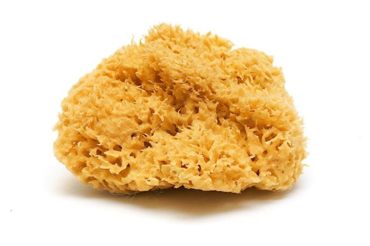 Best Masking Fluid - What Is Masking Fluid and How to Use It?