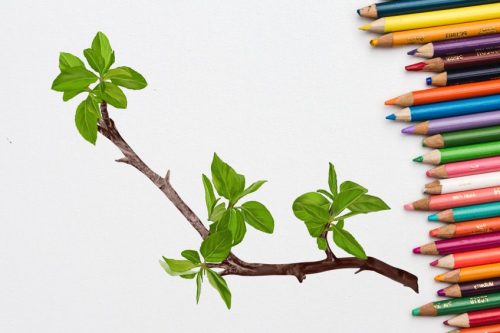 How to Draw a Tree Branch - Easy and Simple Tutorial