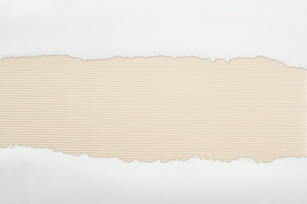 Ivory Color - Exploring Different Shades of Ivory and Cream Colors