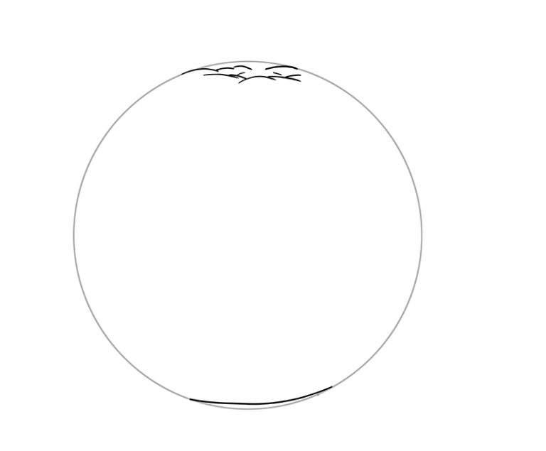 How to Draw an Orange - A Juicy and Realistic Orange Drawing Tutorial