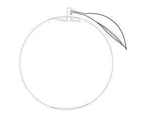 How to Draw an Orange - A Juicy and Realistic Orange Drawing Tutorial