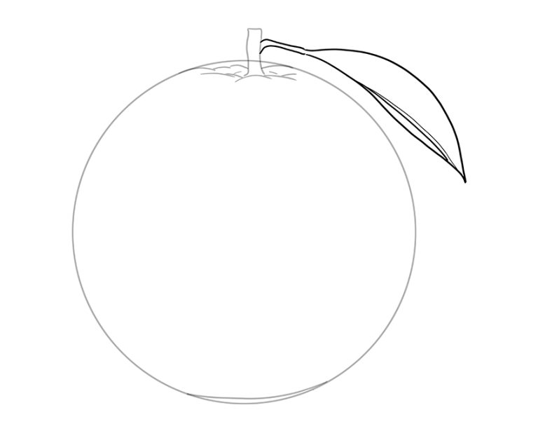 How to Draw an Orange - A Juicy and Realistic Orange Drawing Tutorial